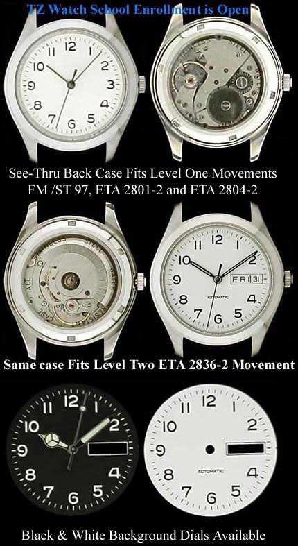 Cases for TZWS Movements